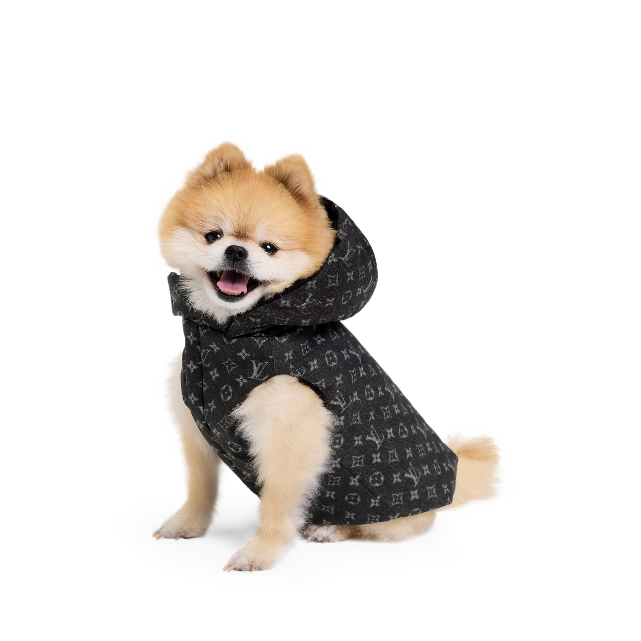 Dog Ready-To-Wear - For Pets for New | Louis Vuitton India